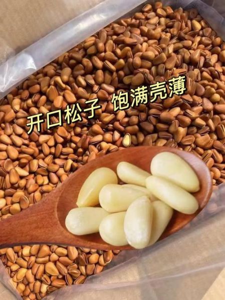 松子有什么营养价值_松子一天吃多少粒合适-第2张图片-山城妙识 松子有什么营养价值_松子一天吃多少粒合适-第2张图片-山城妙识