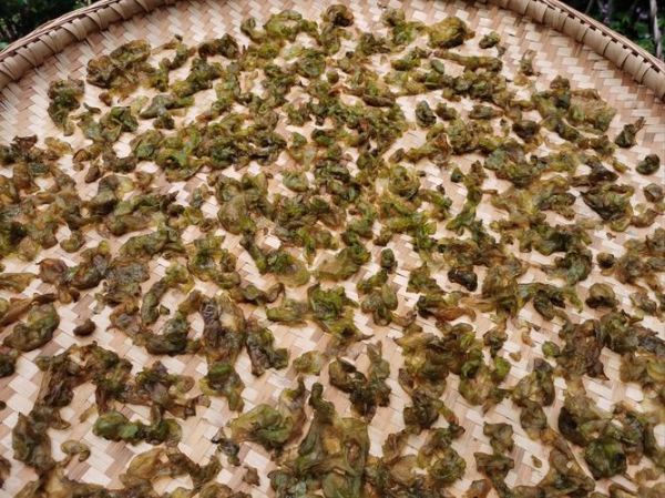 地木耳怎么泡发_地木耳的家常做法大全-第3张图片-山城妙识 地木耳怎么泡发_地木耳的家常做法大全-第3张图片-山城妙识