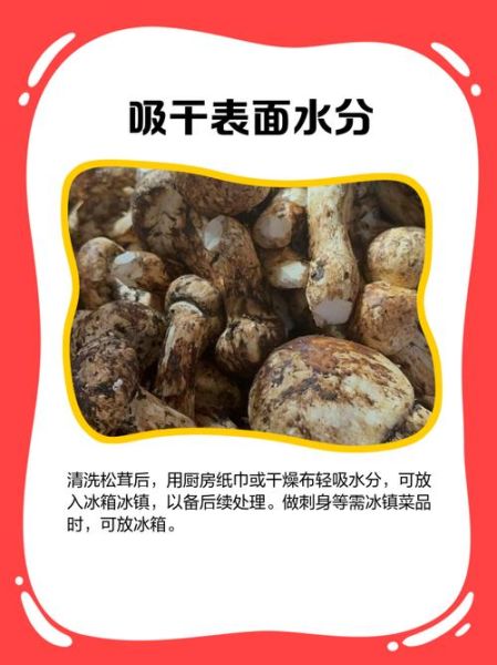 松茸怎么清洗_松茸清洗后如何保存-第2张图片-山城妙识
