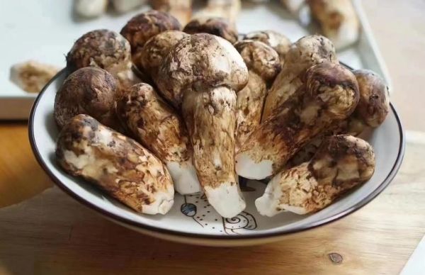 松茸怎么清洗_松茸清洗后如何保存-第3张图片-山城妙识