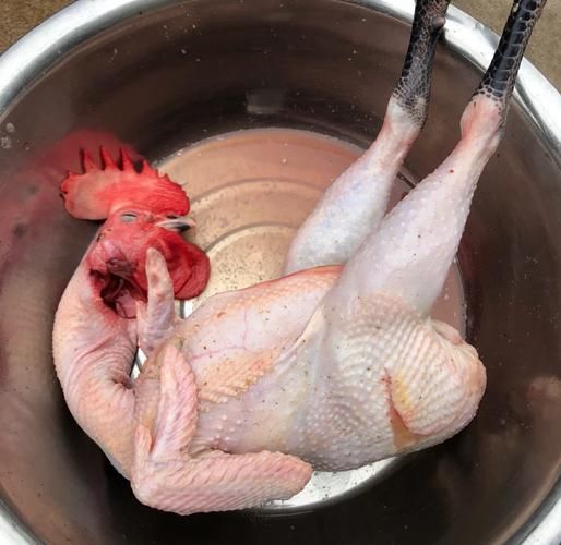 叫化鸡图片_正宗做法步骤图解-第1张图片-山城妙识 叫化鸡图片_正宗做法步骤图解-第1张图片-山城妙识