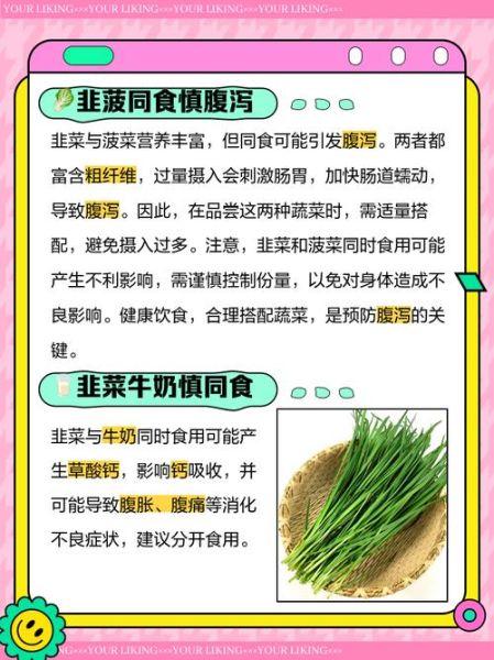 韭菜不能和什么一起吃_韭菜的禁忌有哪些-第1张图片-山城妙识 韭菜不能和什么一起吃_韭菜的禁忌有哪些-第1张图片-山城妙识