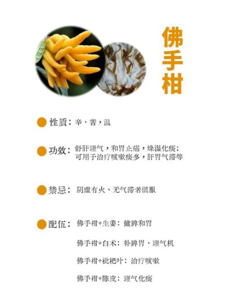 佛手柑泡水喝的功效与作用_佛手柑泡水可以天天喝吗-第2张图片-山城妙识 佛手柑泡水喝的功效与作用_佛手柑泡水可以天天喝吗-第2张图片-山城妙识