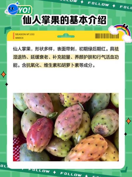 仙人掌果怎么吃最好_仙人掌果怎么吃才不扎嘴-第2张图片-山城妙识 仙人掌果怎么吃最好_仙人掌果怎么吃才不扎嘴-第2张图片-山城妙识