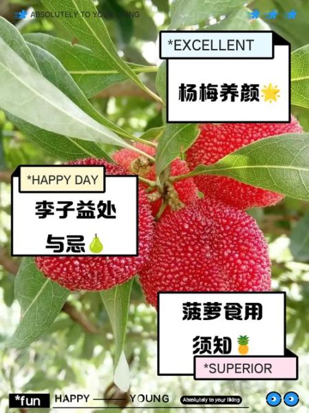 酸性水果有哪些_生女孩吃酸性水果有用吗-第2张图片-山城妙识 酸性水果有哪些_生女孩吃酸性水果有用吗-第2张图片-山城妙识