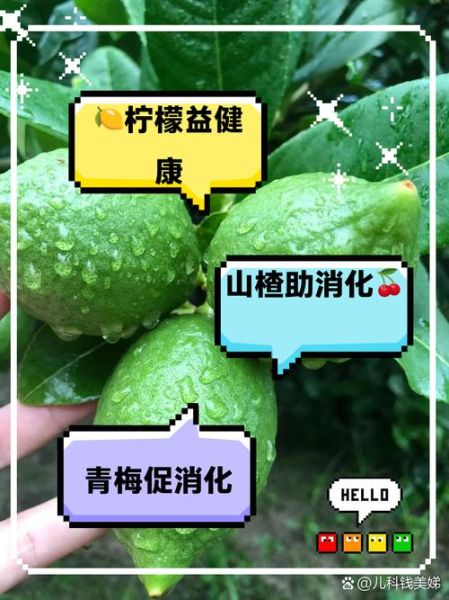 酸性水果有哪些_生女孩吃酸性水果有用吗-第3张图片-山城妙识 酸性水果有哪些_生女孩吃酸性水果有用吗-第3张图片-山城妙识