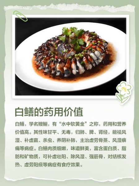 白鳝多少钱一斤_白鳝价格行情-第3张图片-山城妙识 白鳝多少钱一斤_白鳝价格行情-第3张图片-山城妙识