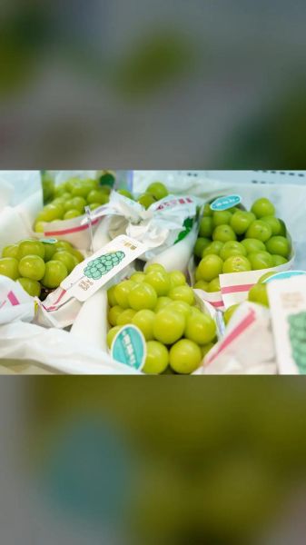 丹东特产零食有哪些_丹东零食哪里买正宗-第1张图片-山城妙识 丹东特产零食有哪些_丹东零食哪里买正宗-第1张图片-山城妙识