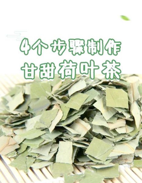 荷叶茶减肥效果怎么样_荷叶茶怎么喝最减肥-第1张图片-山城妙识 荷叶茶减肥效果怎么样_荷叶茶怎么喝最减肥-第1张图片-山城妙识