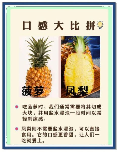 菠萝和凤梨哪个营养价值高_区别在哪里-第1张图片-山城妙识 菠萝和凤梨哪个营养价值高_区别在哪里-第1张图片-山城妙识