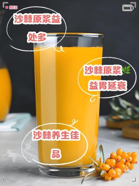 沙棘汁原浆的功效与作用_沙棘原浆能长期喝吗-第2张图片-山城妙识 沙棘汁原浆的功效与作用_沙棘原浆能长期喝吗-第2张图片-山城妙识