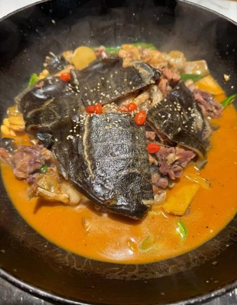 甲鱼和什么一起炖最补_甲鱼炖汤最佳搭配-第2张图片-山城妙识 甲鱼和什么一起炖最补_甲鱼炖汤最佳搭配-第2张图片-山城妙识