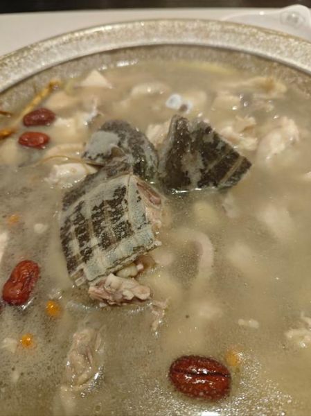 甲鱼和什么一起炖最补_甲鱼炖汤最佳搭配-第1张图片-山城妙识 甲鱼和什么一起炖最补_甲鱼炖汤最佳搭配-第1张图片-山城妙识