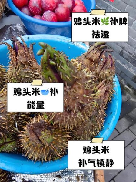 干鸡头米怎么泡发_干鸡头米泡多久-第2张图片-山城妙识
