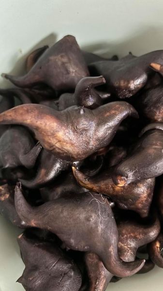 菱角冷水下锅还是沸水_菱角怎么煮才软糯-第2张图片-山城妙识 菱角冷水下锅还是沸水_菱角怎么煮才软糯-第2张图片-山城妙识