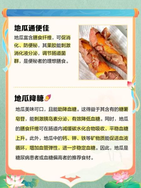 野地瓜的功效与作用_野地瓜怎么吃效果最好-第3张图片-山城妙识 野地瓜的功效与作用_野地瓜怎么吃效果最好-第3张图片-山城妙识