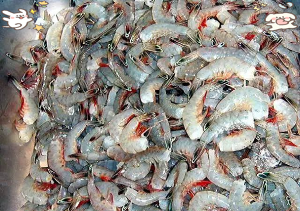 注胶虾怎么辨别_注胶虾吃了有什么危害-第1张图片-山城妙识