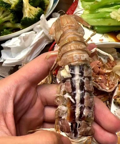 注胶虾怎么辨别_注胶虾吃了有什么危害-第2张图片-山城妙识