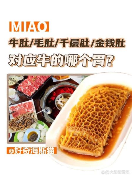 毛肚和牛肚的区别_哪个部位更好吃-第1张图片-山城妙识 毛肚和牛肚的区别_哪个部位更好吃-第1张图片-山城妙识