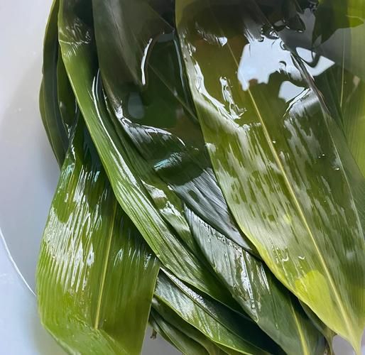 咸粽子怎么包好吃_咸粽子配料有哪些-第1张图片-山城妙识 咸粽子怎么包好吃_咸粽子配料有哪些-第1张图片-山城妙识