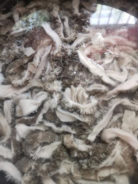 生羊肚怎么煮才脆_煮生羊肚的正确方法毛-第1张图片-山城妙识 生羊肚怎么煮才脆_煮生羊肚的正确方法毛-第1张图片-山城妙识