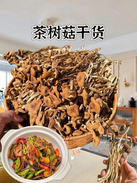 干茶树菇怎么泡发_干茶树菇怎么做好吃-第1张图片-山城妙识 干茶树菇怎么泡发_干茶树菇怎么做好吃-第1张图片-山城妙识
