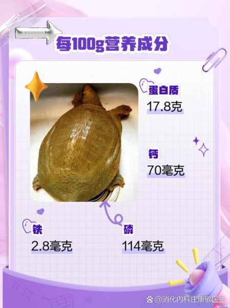 甲鱼的营养价值及功效_甲鱼怎么吃最补-第1张图片-山城妙识