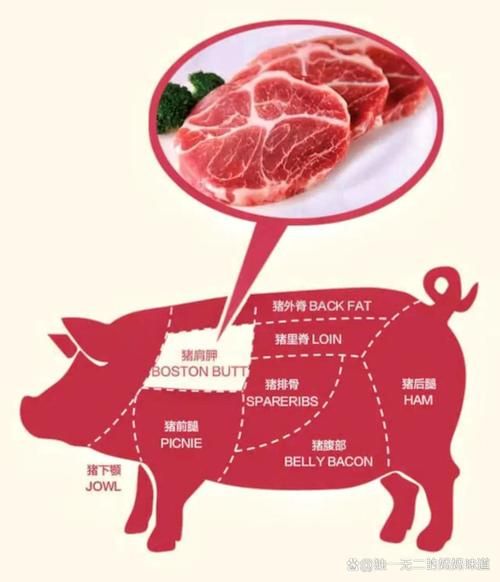 孜然肉片用猪肉哪个部位_猪里脊还是梅花肉-第2张图片-山城妙识 孜然肉片用猪肉哪个部位_猪里脊还是梅花肉-第2张图片-山城妙识