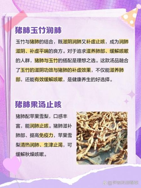 猪肺汤的功效与作用_猪肺汤适合什么人喝-第3张图片-山城妙识