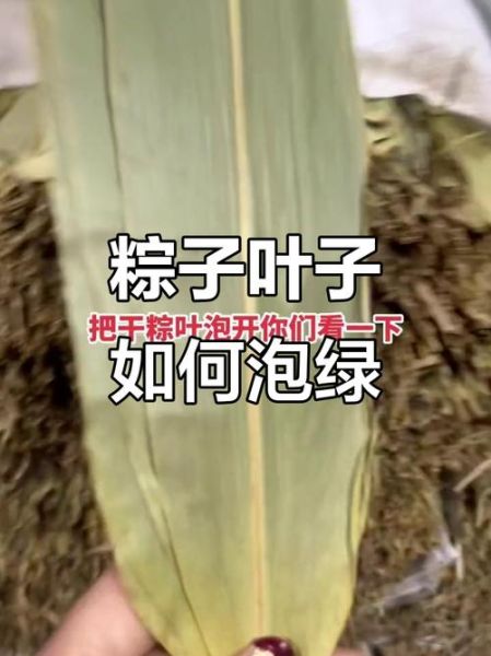 干粽叶怎么处理_干粽叶泡多久才软-第2张图片-山城妙识