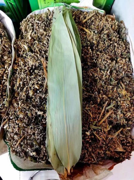 干粽叶怎么处理_干粽叶泡多久才软-第3张图片-山城妙识