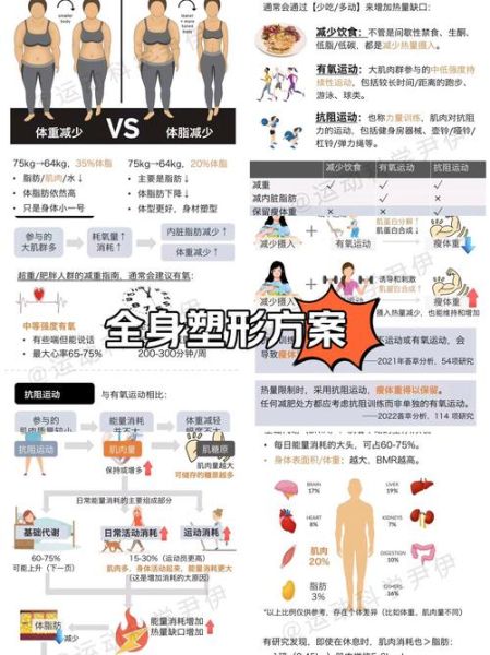 减肥一天摄入多少热量_如何计算热量缺口-第2张图片-山城妙识