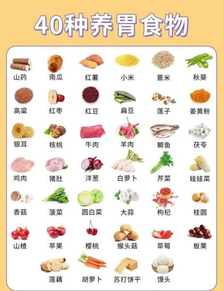 养胃食物第一名是什么_养胃食物第一名怎么吃-第1张图片-山城妙识