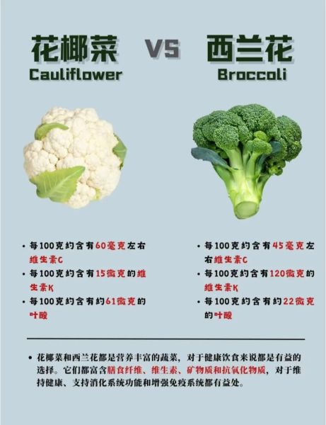 散花菜怎么做好吃_散花菜和西兰花区别-第2张图片-山城妙识 散花菜怎么做好吃_散花菜和西兰花区别-第2张图片-山城妙识