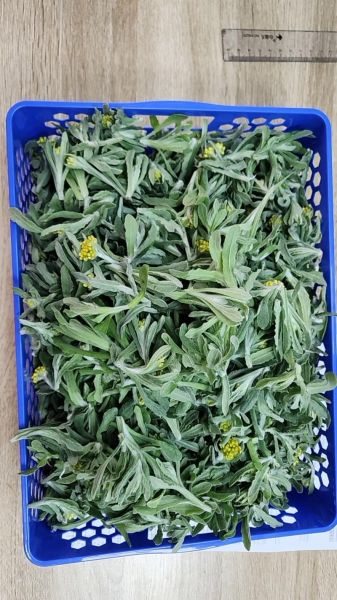 清明菜粑粑怎么做_清明菜粑粑的功效与作用-第1张图片-山城妙识 清明菜粑粑怎么做_清明菜粑粑的功效与作用-第1张图片-山城妙识