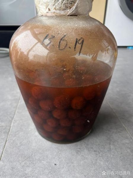 杨梅酒泡10年还能喝吗_如何判断是否变质-第2张图片-山城妙识