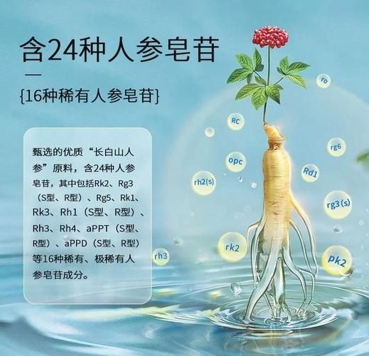 人参的功效与作用吃法_人参怎么吃效果最好-第2张图片-山城妙识