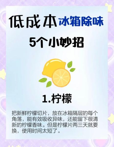 怎样去除冰箱异味_冰箱除味小妙招-第2张图片-山城妙识