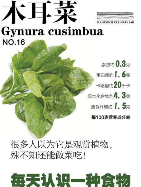 凉拌木耳菜的做法_木耳菜焯水几分钟-第3张图片-山城妙识