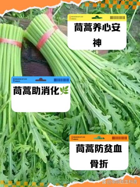 吃茼蒿有什么好处_茼蒿营养价值高吗-第3张图片-山城妙识