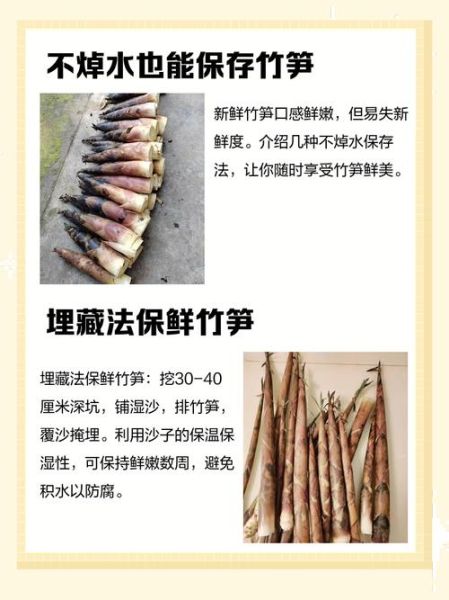 新鲜春笋怎么处理_春笋去涩方法-第2张图片-山城妙识 新鲜春笋怎么处理_春笋去涩方法-第2张图片-山城妙识