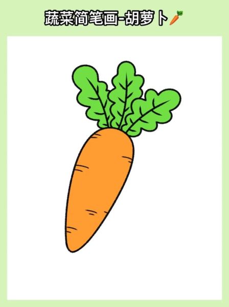 萝卜简笔画怎么画_萝卜涂色步骤图解-第2张图片-山城妙识