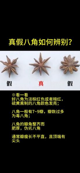 大茴香和八角的区别_八角是不是大茴香-第1张图片-山城妙识