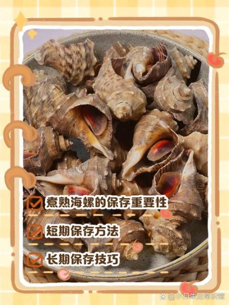 海螺煮多久才熟_海螺煮几分钟可以吃-第1张图片-山城妙识 海螺煮多久才熟_海螺煮几分钟可以吃-第1张图片-山城妙识
