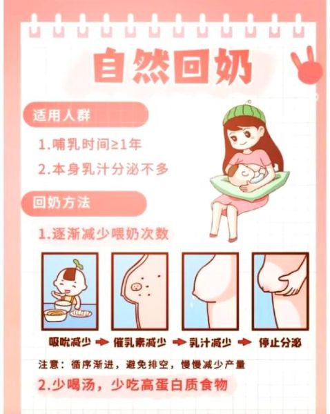 科学回奶的正确方法_如何自然回奶不痛苦-第1张图片-山城妙识 科学回奶的正确方法_如何自然回奶不痛苦-第1张图片-山城妙识
