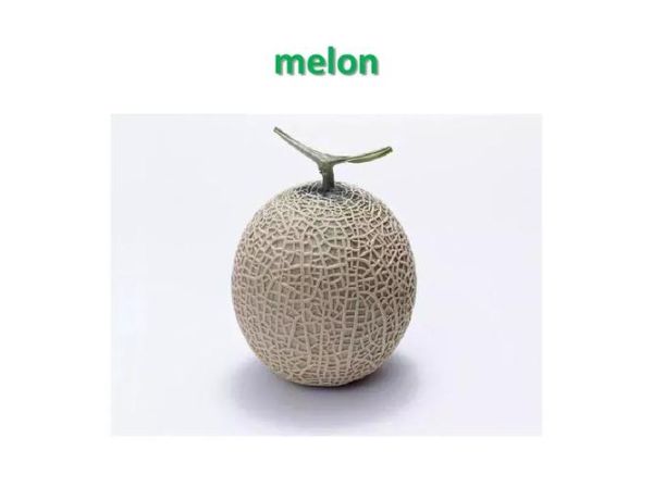 哈密瓜英文怎么读_哈密瓜英语发音技巧-第1张图片-山城妙识 哈密瓜英文怎么读_哈密瓜英语发音技巧-第1张图片-山城妙识