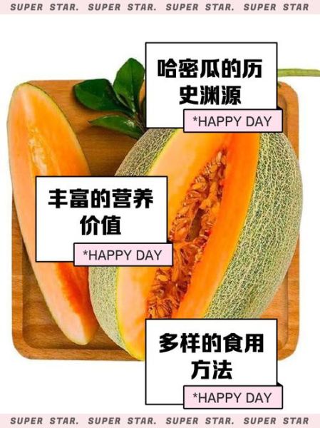 哈密瓜英文怎么读_哈密瓜英语发音技巧-第2张图片-山城妙识 哈密瓜英文怎么读_哈密瓜英语发音技巧-第2张图片-山城妙识