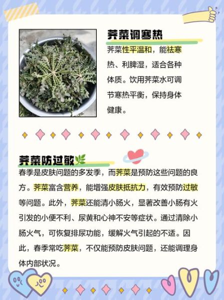 水荠菜怎么吃_水荠菜的吃法大全-第3张图片-山城妙识 水荠菜怎么吃_水荠菜的吃法大全-第3张图片-山城妙识