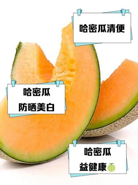 哈密瓜英文怎么读_哈密瓜英语发音技巧-第3张图片-山城妙识 哈密瓜英文怎么读_哈密瓜英语发音技巧-第3张图片-山城妙识