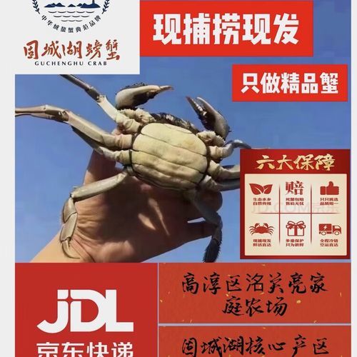 固城湖大闸蟹礼卡怎么选_固城湖大闸蟹礼卡多少钱-第1张图片-山城妙识 固城湖大闸蟹礼卡怎么选_固城湖大闸蟹礼卡多少钱-第1张图片-山城妙识